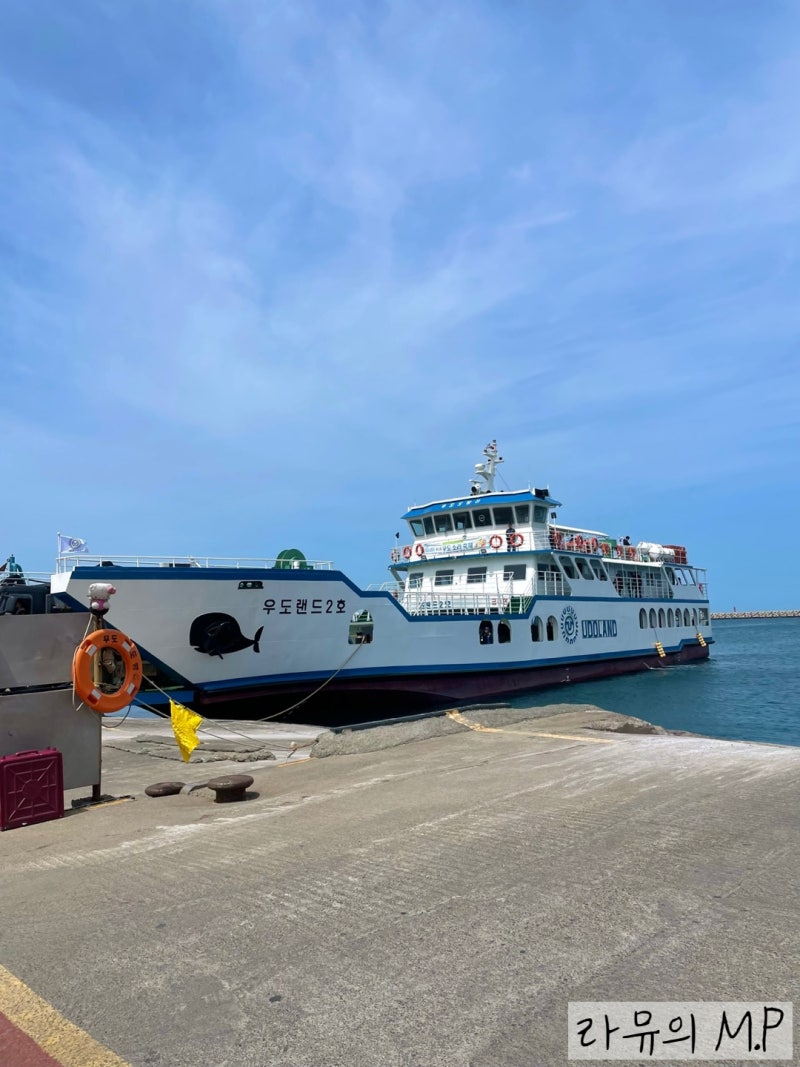 제주도제주시 제주도가볼만한곳 《우도》 우도유람선우도전기차하고수동해수욕장 네이버 블로그