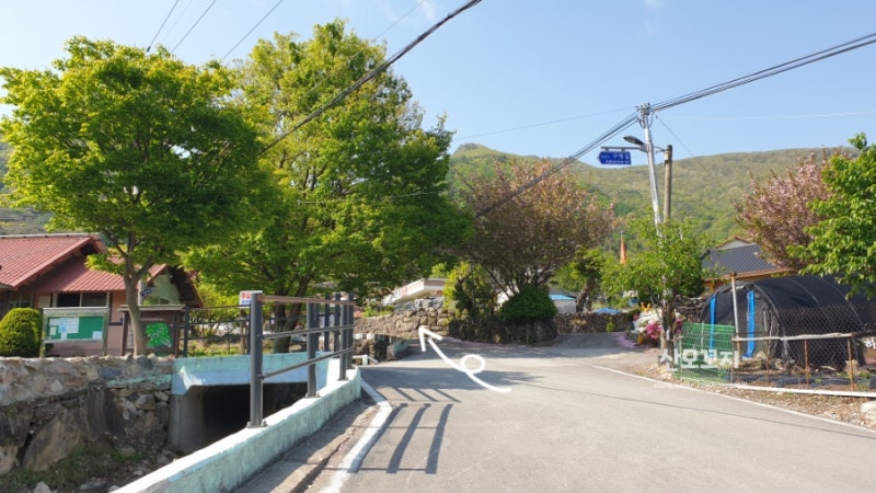 충북 보은 구병산 최단코스 등산코스 구병리 2코스 ️정상 ️1코스 네이버 블로그