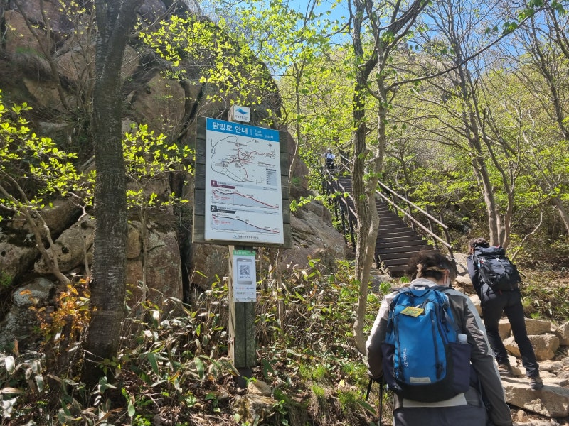 월출산 등산코스,산성대-천황봉(최고봉)-구름다리-천황사 : 네이버 블로그