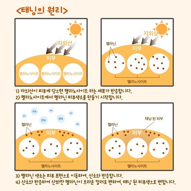 돈버는 소자본 무인창업 아이템 창업 비용 장단점 비교분석 네이버 블로그