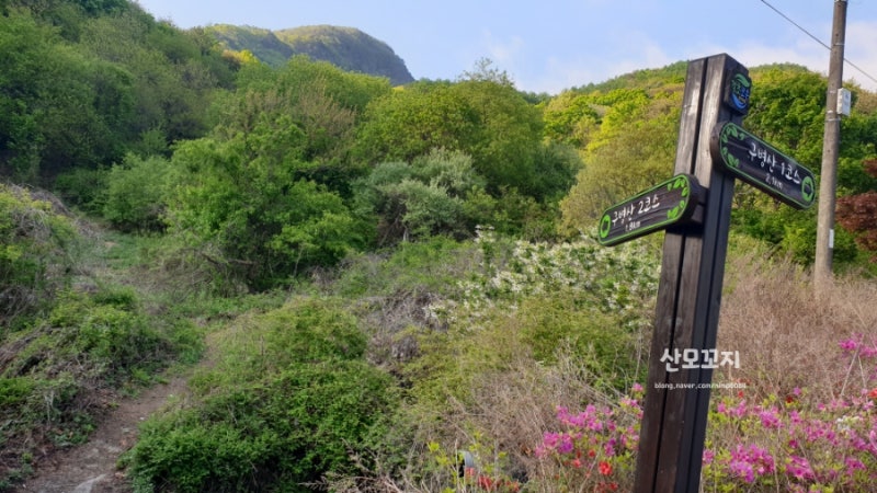 충북 보은 구병산 최단코스 등산코스 구병리 2코스 ️정상 ️1코스 네이버 블로그