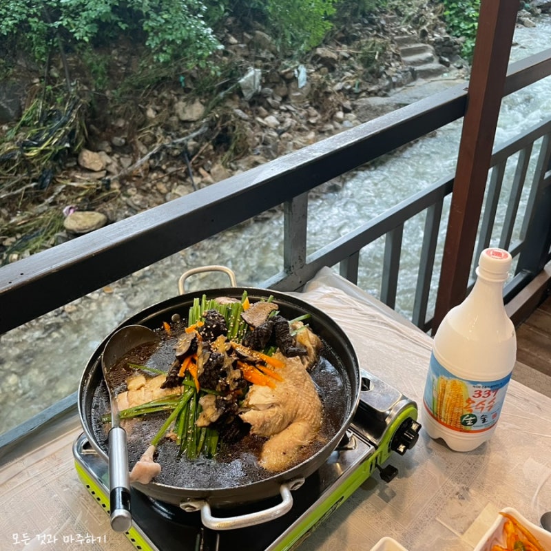 경기 용인시 고기리 계곡 백숙 맛집 다닐목 네이버 블로그