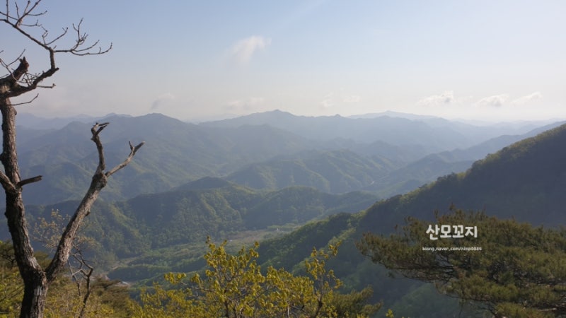 충북 보은 구병산 최단코스 등산코스 구병리 2코스 ️정상 ️1코스 네이버 블로그