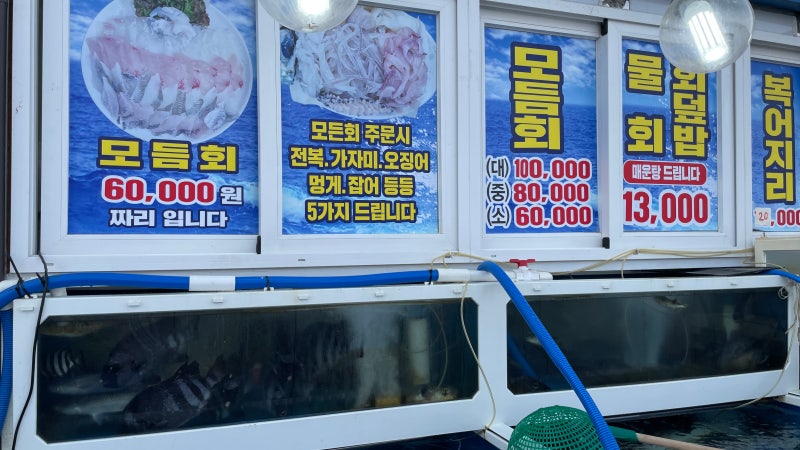 동해 묵호항횟집 청해수산 현지인이 추천하는 가성비 맛집 네이버 블로그