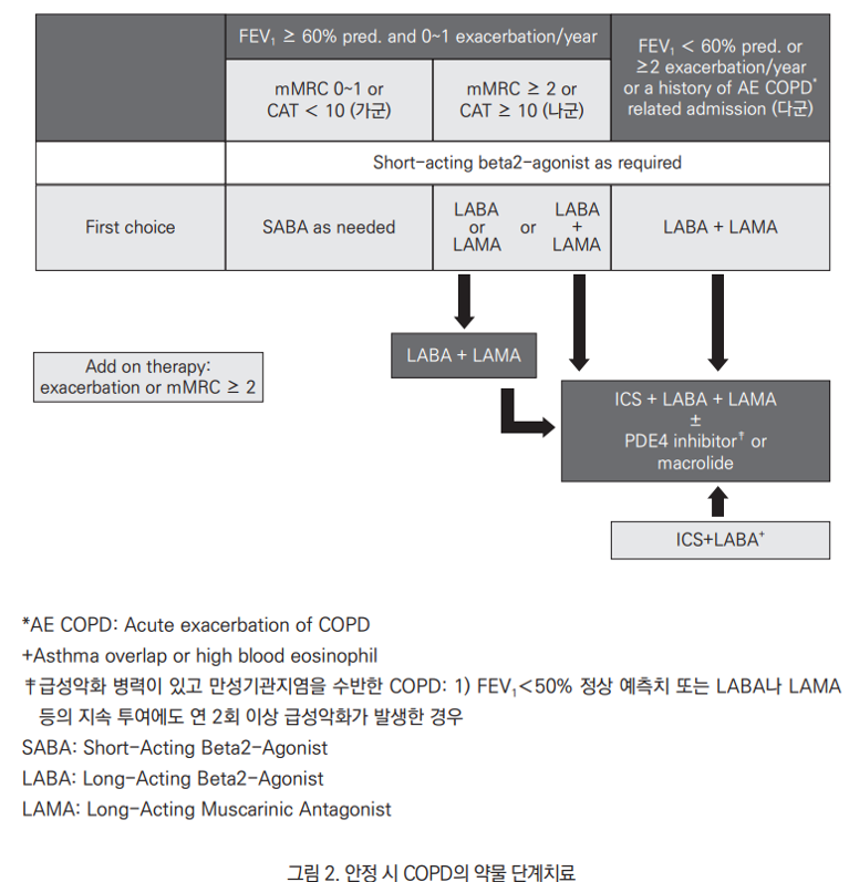 COPD 약물치료(2023 GOLD guideline)(ppt첨부) : 네이버 블로그