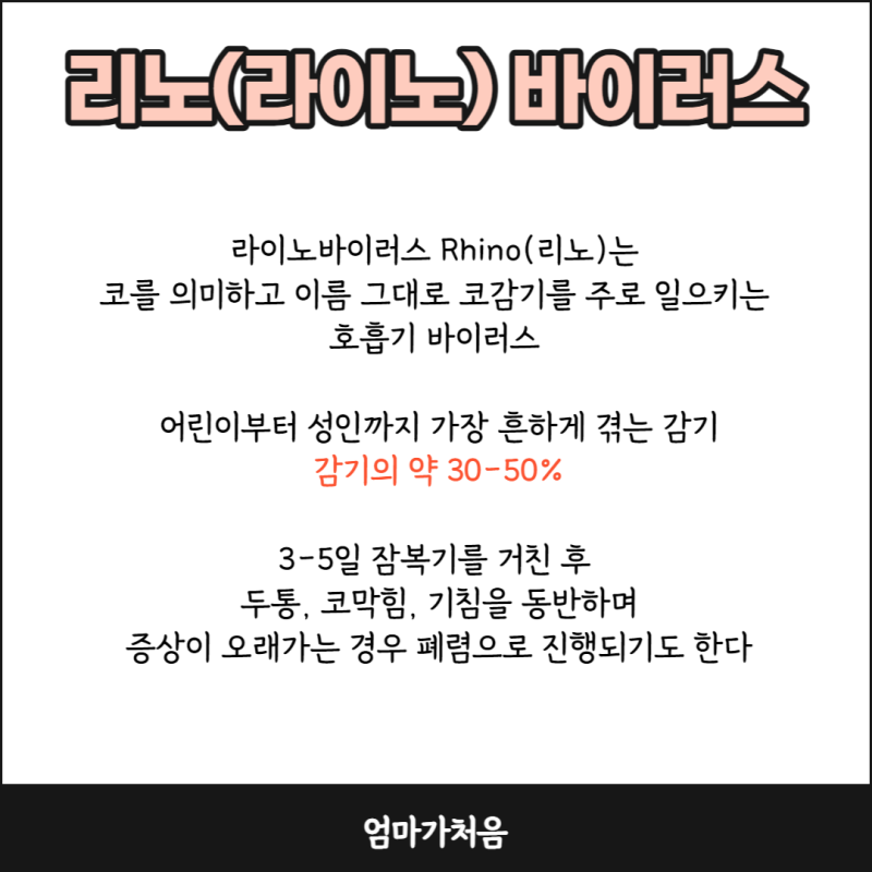 리노바이러스 파라 아데노 보카 Rsv 차이점 증상 알아봐요 네이버 블로그