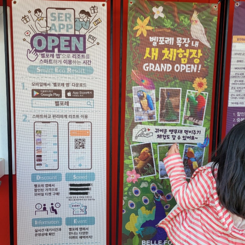 증평 블랙스톤 벨포레 목장 청주 가볼만한곳 내돈내산 후기 네이버 블로그
