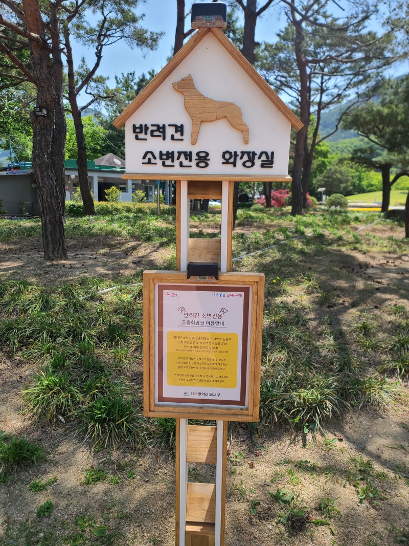 대구 가볼 만한 곳 월광수변공원 네이버 블로그