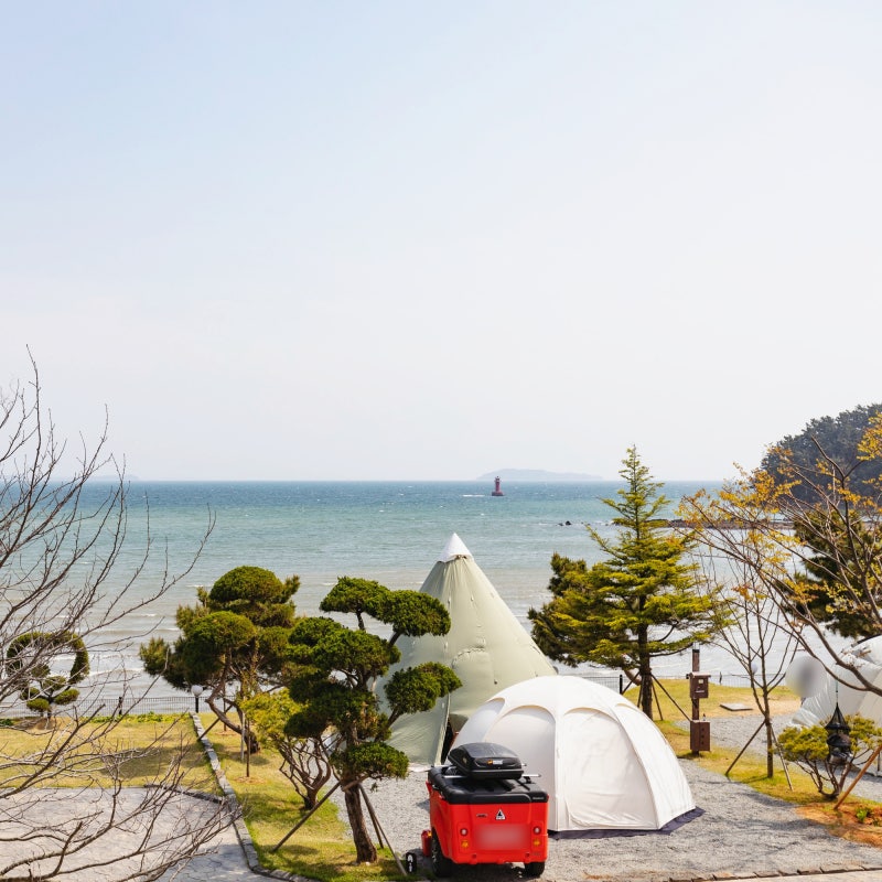 충남 태안 캠핑 드림 캠핑장 바다뷰 갯벌체험 애견동반 캠핑장 추천 네이버 블로그
