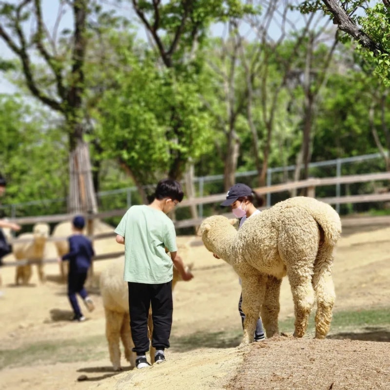 대구근교가볼만한곳 가산수피아 두번째방문기 네이버 블로그