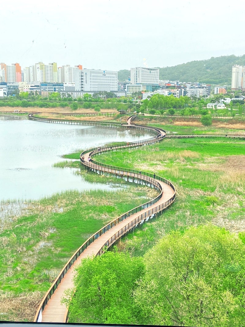 전주 혁신도시 카페 오아 기지제 전망 좋은 뷰카페 주차 네이버 블로그