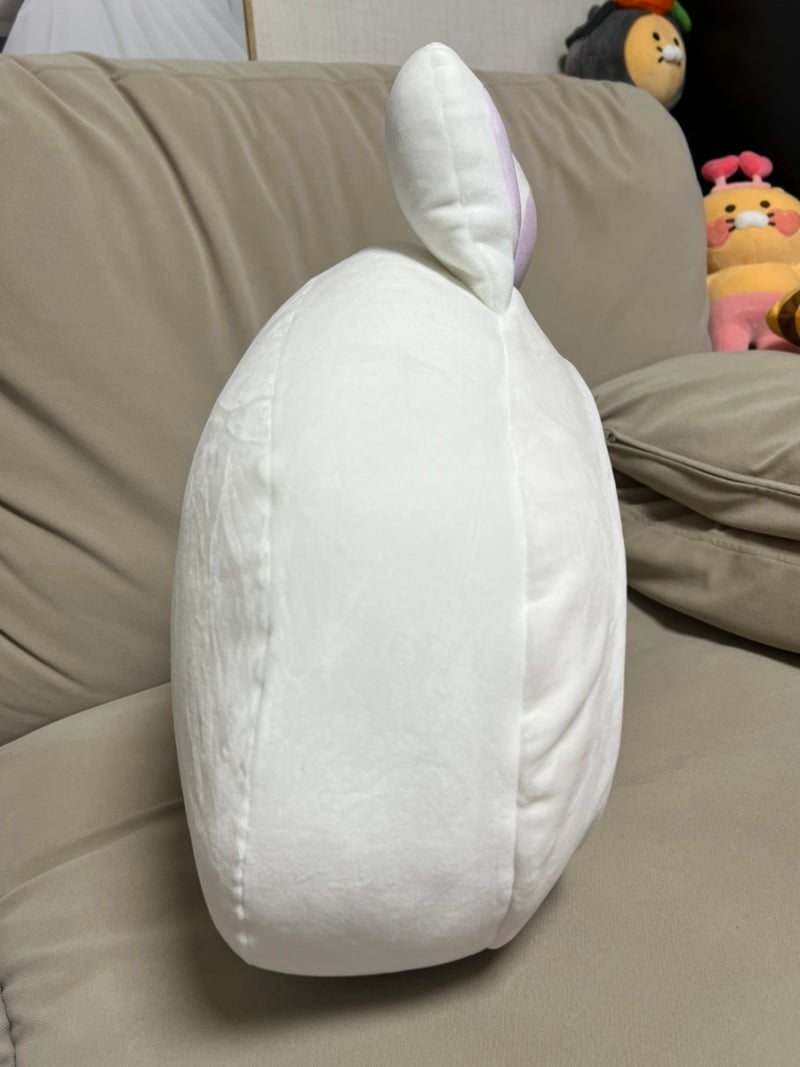 파리바게트 춘식이 찹쌀떡쿠션 수령후기 네이버 블로그