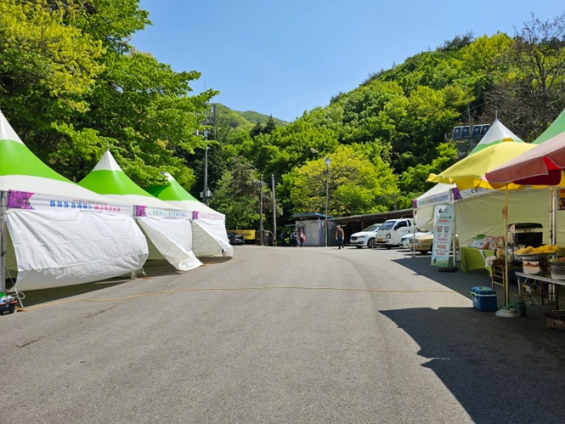 전남 보성 일림산 등산코스 철쭉 명산 용추계곡~정상 최단코스 및 철쭉군락지 산행 이야기 주차장 네이버 블로그
