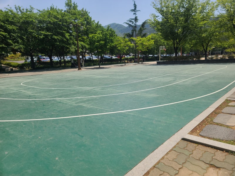 대구 가볼 만한 곳 월광수변공원 네이버 블로그
