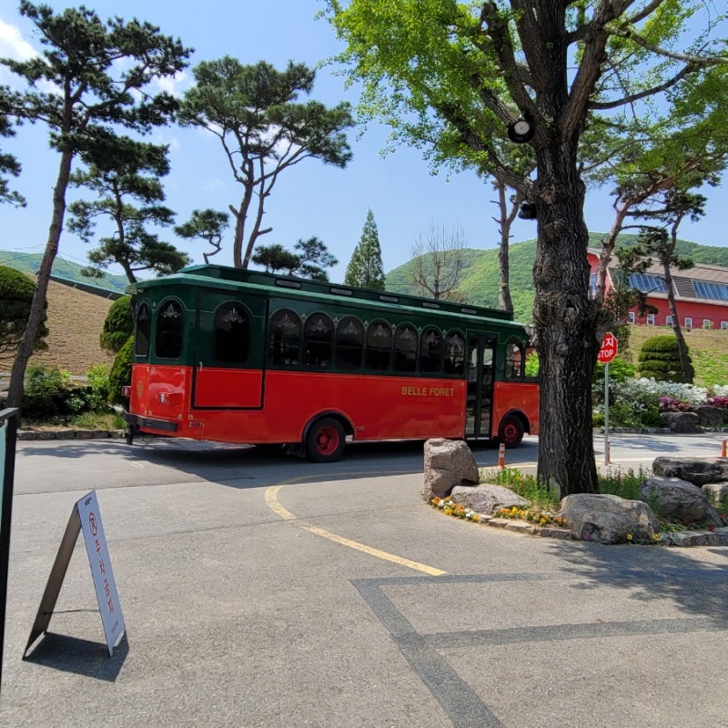 증평 블랙스톤 벨포레 목장 청주 가볼만한곳 내돈내산 후기 네이버 블로그