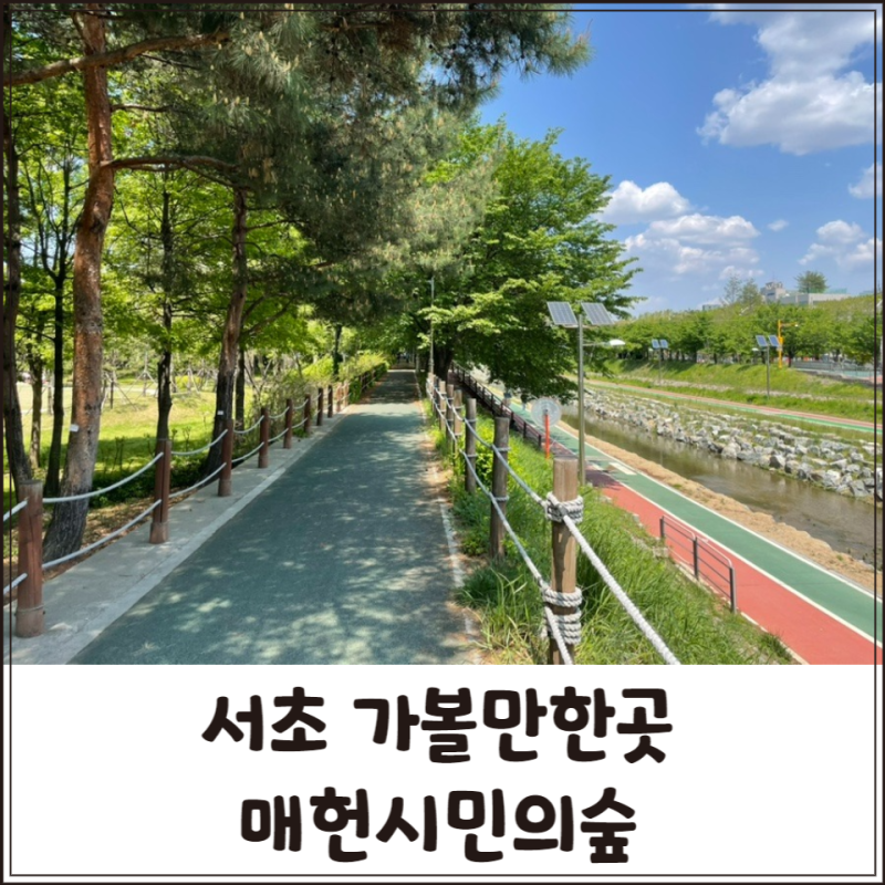 서초양재 가볼만한곳 서울 피크닉장소 매헌시민의숲 주차팁 어린이놀이터 방문후기 네이버 블로그