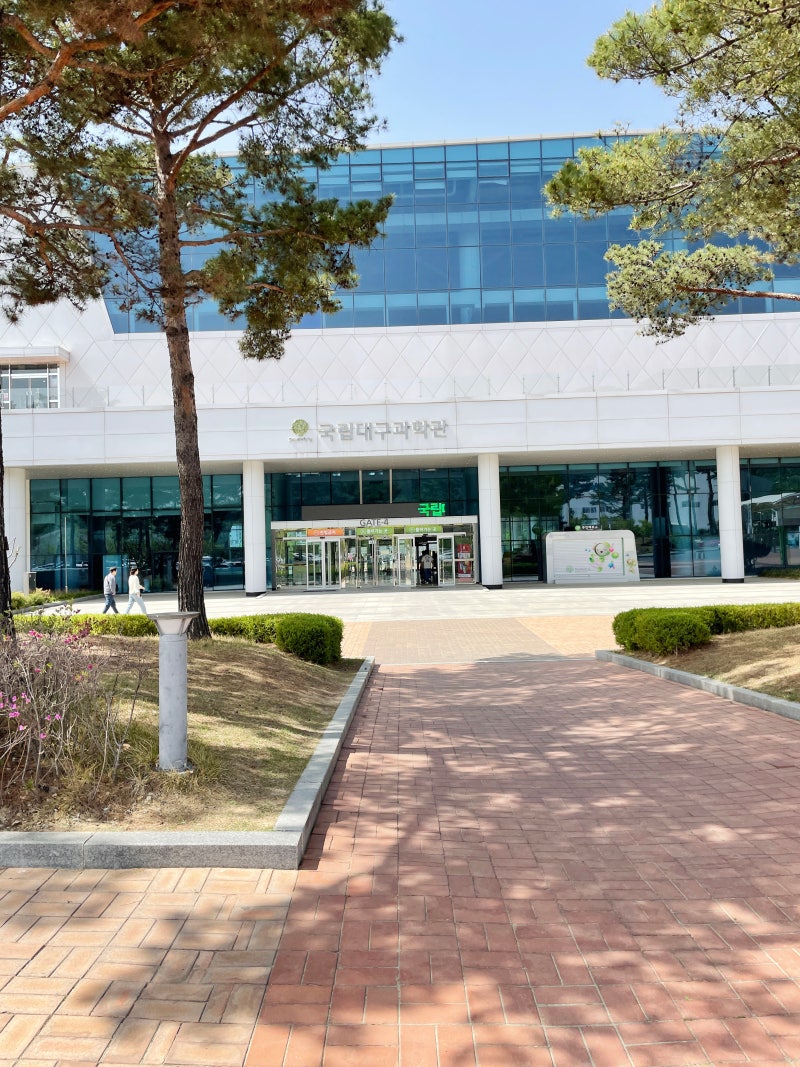 대구 아이와 가볼만한곳 국립대구과학관 비올때 실내 갈만한 곳 네이버 블로그