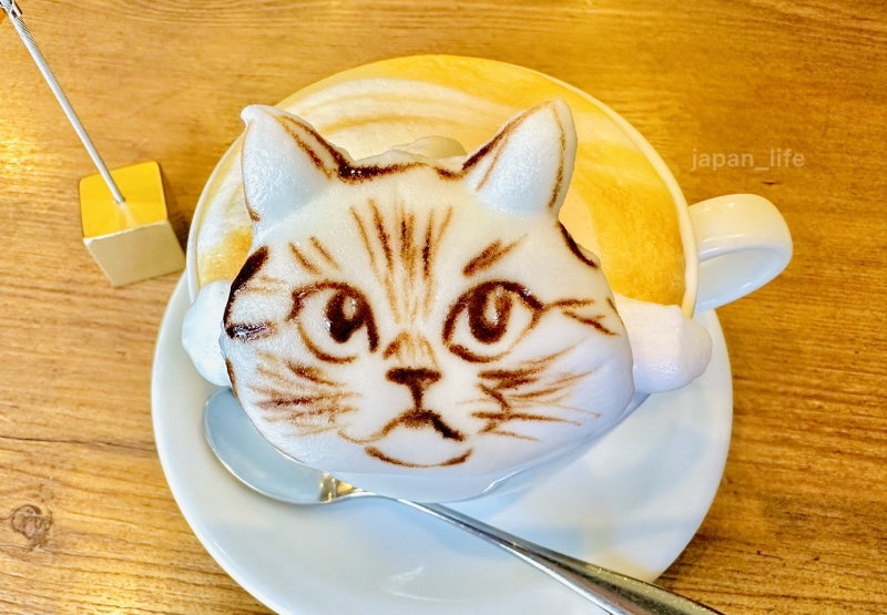 도쿄 No.1 2D, 3D 라떼아트 하라주쿠 카페 리슈 cafe reissue 인기가게 방문후기. 3D입체라떼 메뉴, 주문방법 ...