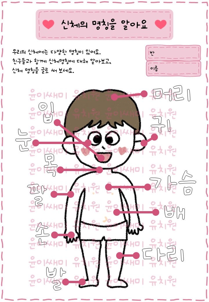 5월 수업자료나와 가족 활동지 모음나와 가족 활동 자료 모음몸의 이름 알아보기나의 몸 명칭 도안가족 색칠하기 도안장기