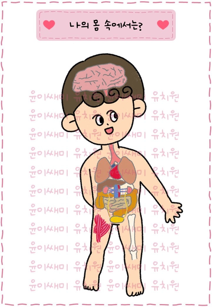 5월 수업자료나와 가족 활동지 모음나와 가족 활동 자료 모음몸의 이름 알아보기나의 몸 명칭 도안가족 색칠하기 도안장기