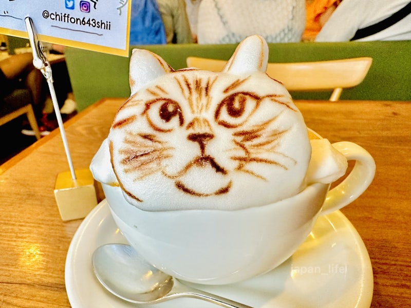 도쿄 No.1 2D, 3D 라떼아트 하라주쿠 카페 리슈 cafe reissue 인기가게 방문후기. 3D입체라떼 메뉴, 주문방법 ...