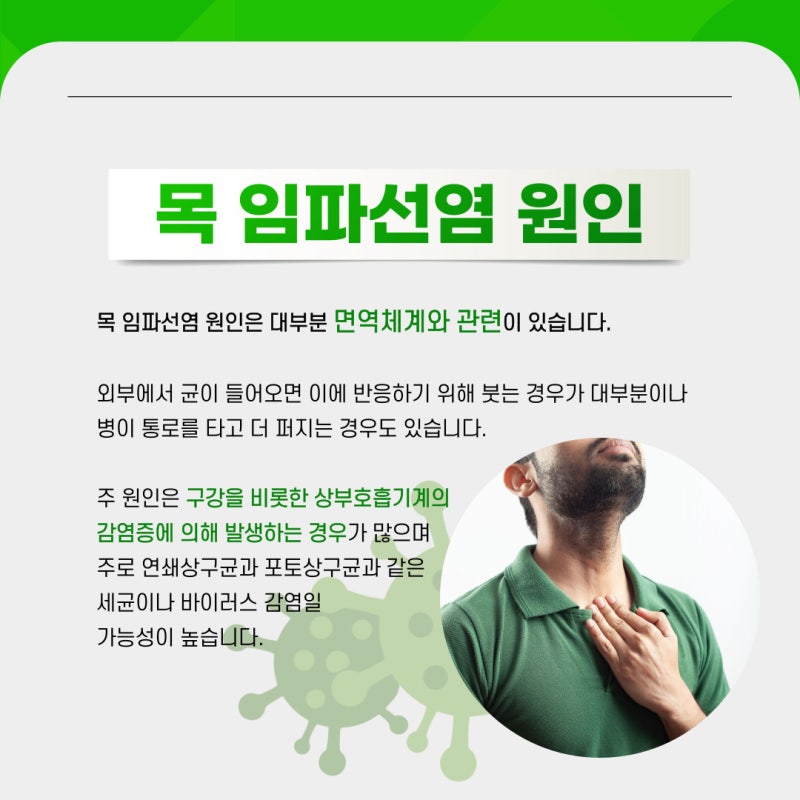목 임파선염 원인 및 멍울 위치 확인 네이버 블로그