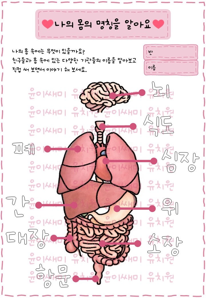 5월 수업자료나와 가족 활동지 모음나와 가족 활동 자료 모음몸의 이름 알아보기나의 몸 명칭 도안가족 색칠하기 도안장기