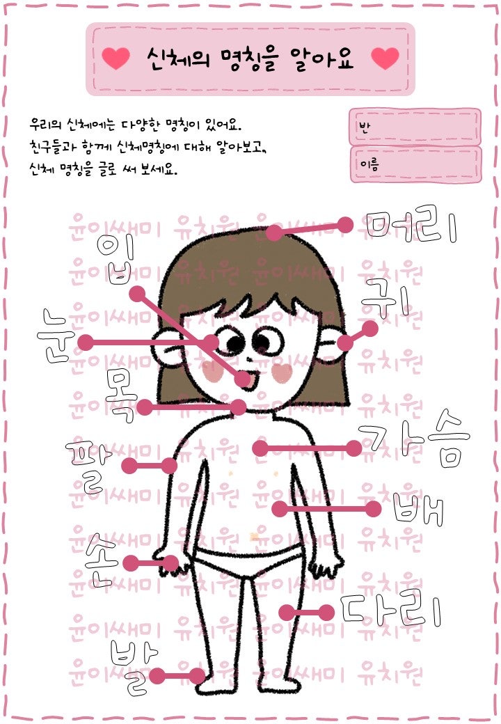 5월 수업자료나와 가족 활동지 모음나와 가족 활동 자료 모음몸의 이름 알아보기나의 몸 명칭 도안가족 색칠하기 도안장기