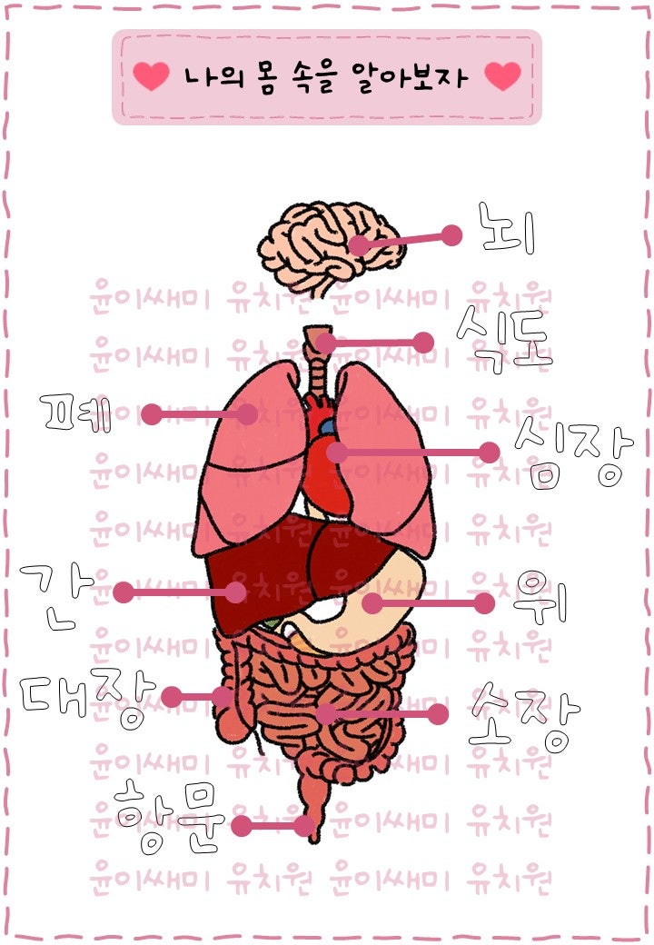 5월 수업자료나와 가족 활동지 모음나와 가족 활동 자료 모음몸의 이름 알아보기나의 몸 명칭 도안가족 색칠하기 도안장기