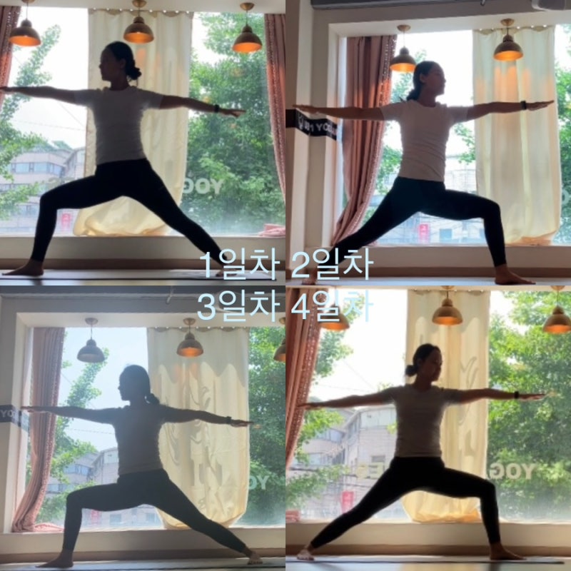 Kyf Riy 요가 지도자 과정 4주 차 요가 해부학 실습3주 차 수련과정 네이버 블로그