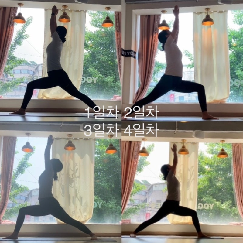 Kyf Riy 요가 지도자 과정 4주 차 요가 해부학 실습3주 차 수련과정 네이버 블로그