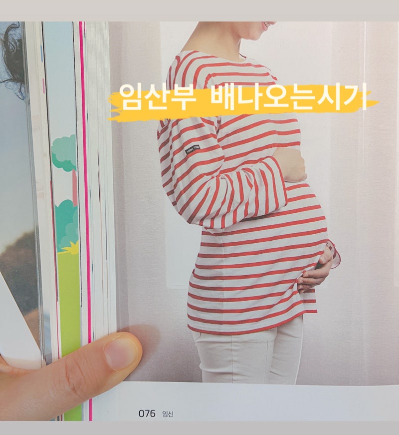 임산부 임신 주수별 몸무게 증가 배크기 배나오는시기 주수사진 네이버 블로그