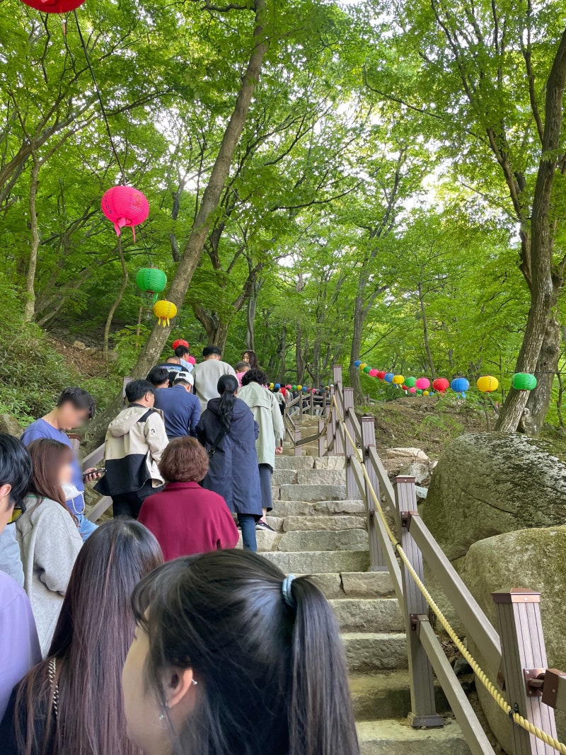 경주 불국사 석굴암 입장료웨이팅시간주차 총정리 네이버 블로그