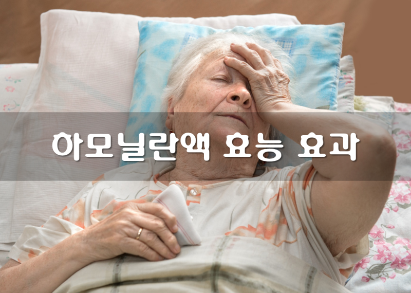 하모닐란액 500ml 200ml 수술후 허약체질 영양공급 가격 하모닐란 효능 효과 성분 용법 부작용 주의사항 네이버 블로그