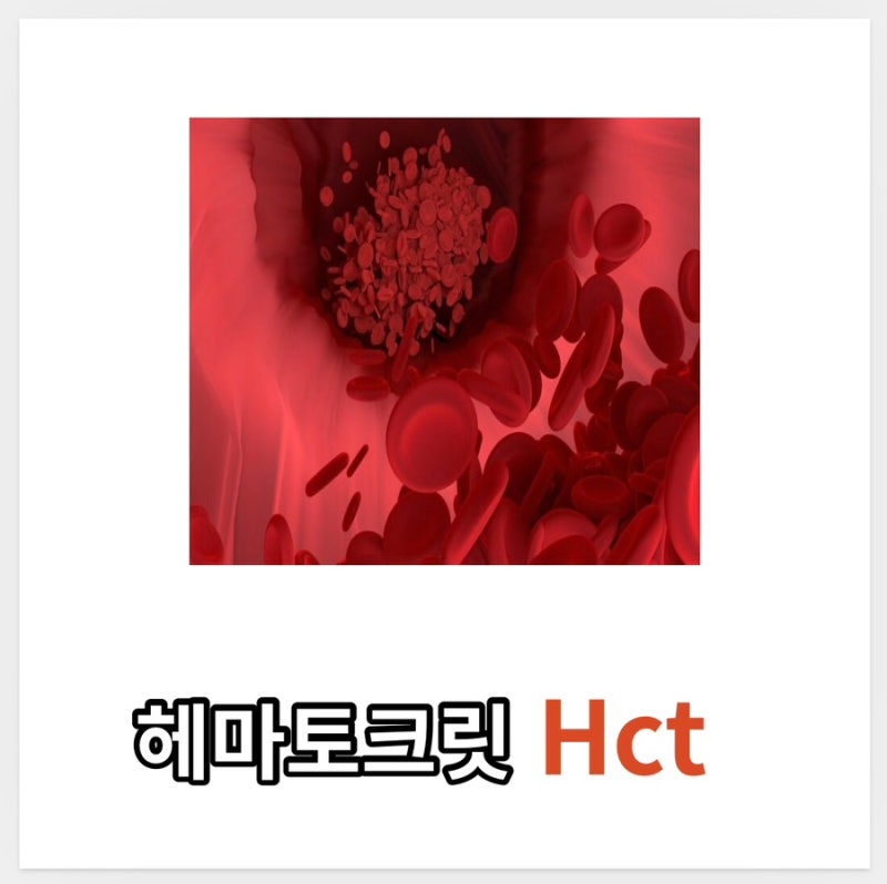 일반 혈액검사 CBC : WBC RBC Hb Hct platelet 수치 정상수치 및 의미 보틀 : 네이버 블로그
