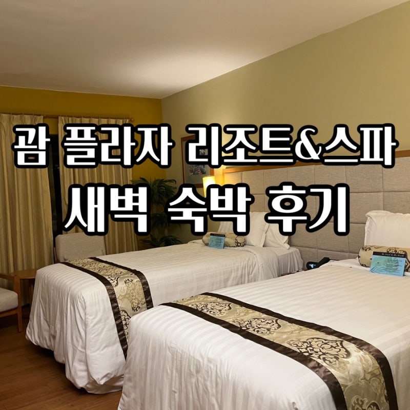 괌 플라자 리조트and스파 숙박 후기ㅣ아기랑 괌 여행괌 새벽 비행기 저렴한 숙소 추천 네이버 블로그