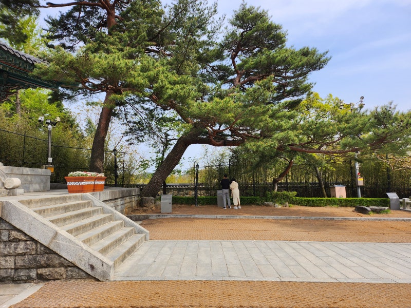 강릉 가볼만한곳 오죽헌 뜻과 입장료 주차장 문화관광해설도슨트 시간표 네이버 블로그