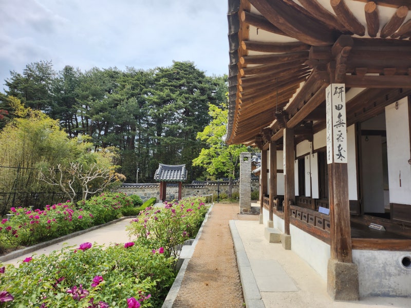 강릉 가볼만한곳 오죽헌 뜻과 입장료 주차장 문화관광해설도슨트 시간표 네이버 블로그