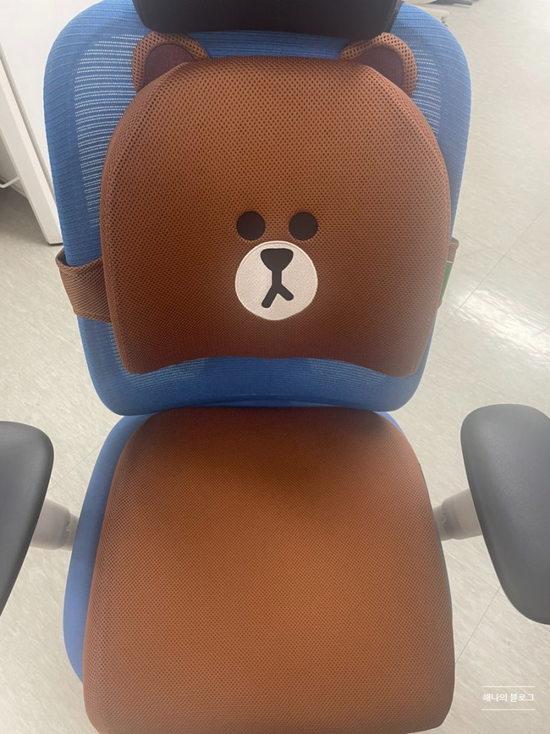 허리디스크 환자 내돈내산 찐구매템 사용 후기 (모션데스크, 의자등받이쿠션-방석, 허리베개, 경추베개, 차량용등받이쿠션-방석 ...