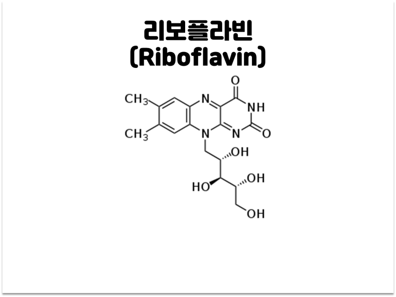 고덱스캡슐 고덱스 간질환 치료제 셀트리온 간장약 간수치 성분 효능 효과 복용법 부작용 가격 주의사항 캅셀 Sgpt 네이버 블로그