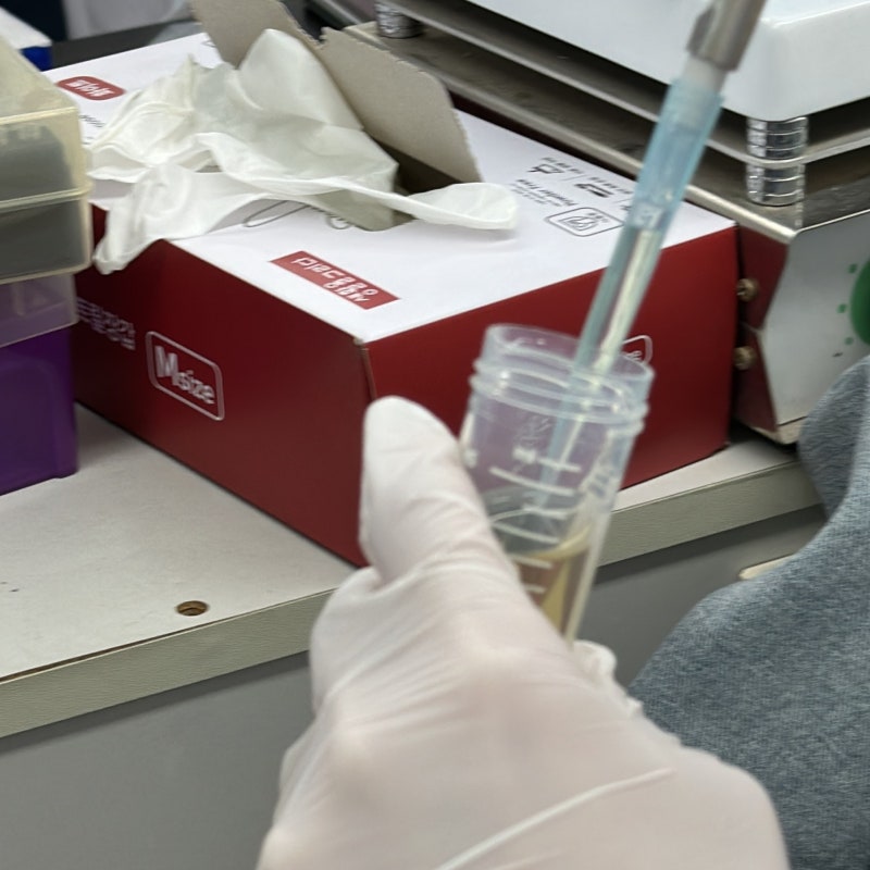 대장균 형질전환 실험하기 E.coli transformation : 네이버 블로그