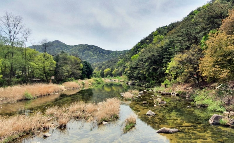괴산여행속리산 국립공원화양구곡써니밸리캠핑장 네이버 블로그