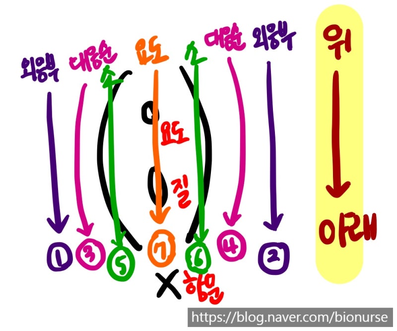 핵심 술기 유치도뇨 술기대사 네이버 블로그