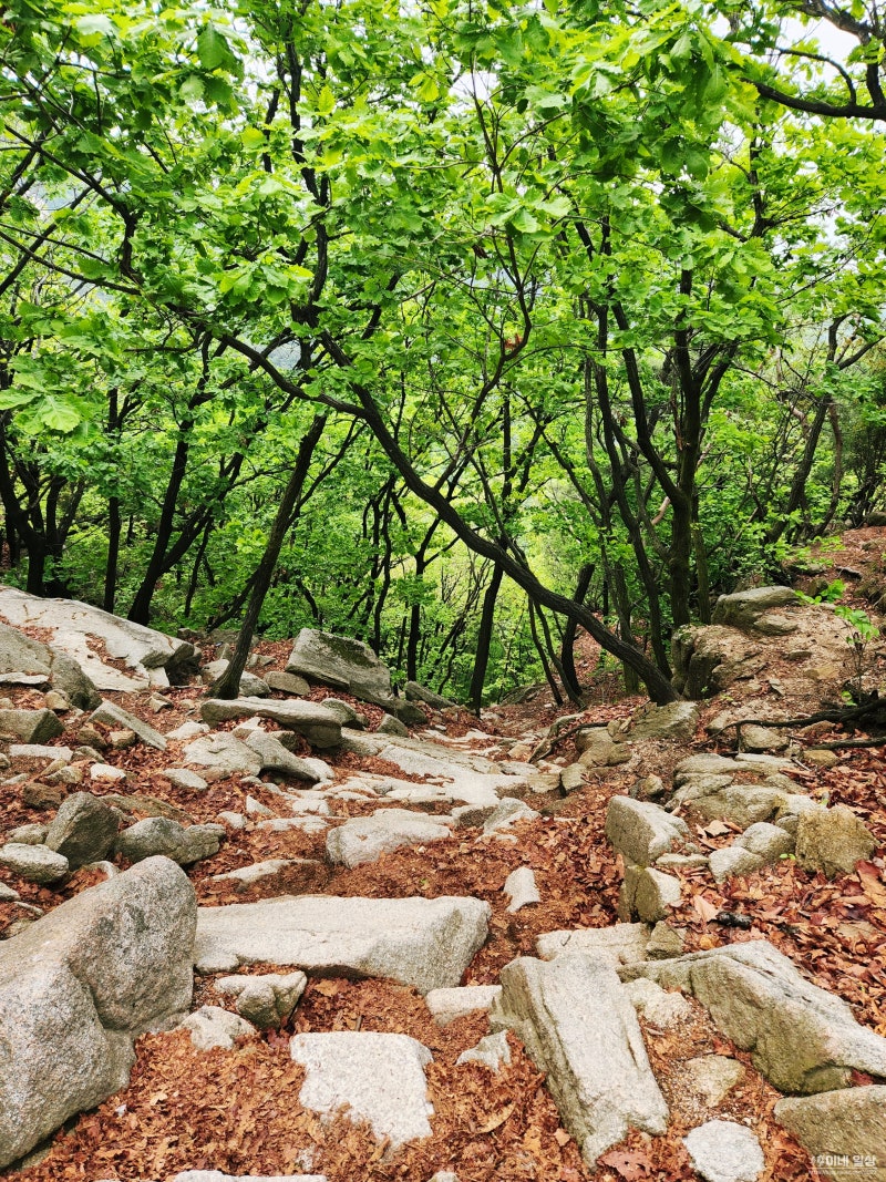 서울 수락산 초보 등산코스 석림사 주차장 출발 최단코스 네이버 블로그