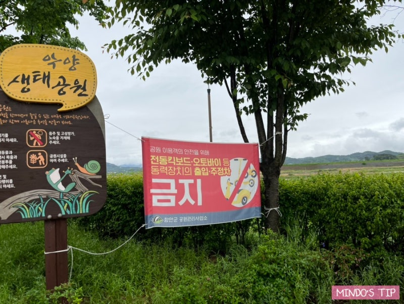 5월에 가볼만한 곳 함안 악양생태공원 금계국 데이지 실시간 개화상황 네이버 블로그