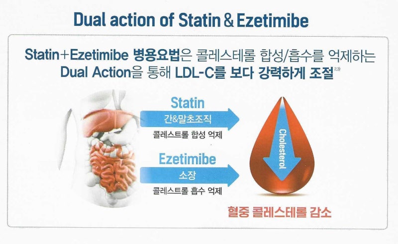 고지혈증약 로수젯정 1025 105 1010 1020 Mg 네이버 블로그