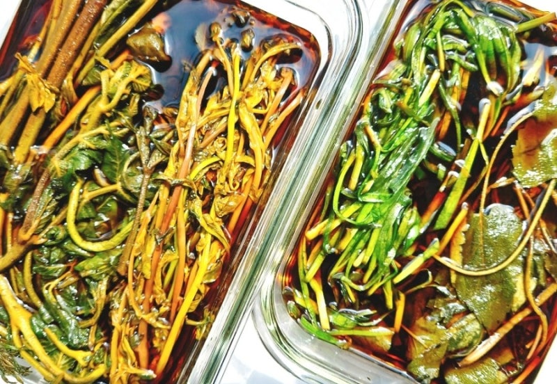 짱아찌간장 만들기 장아찌 종류 만드는법 레시피 당뇨장아찌 다 모여라 네이버 블로그