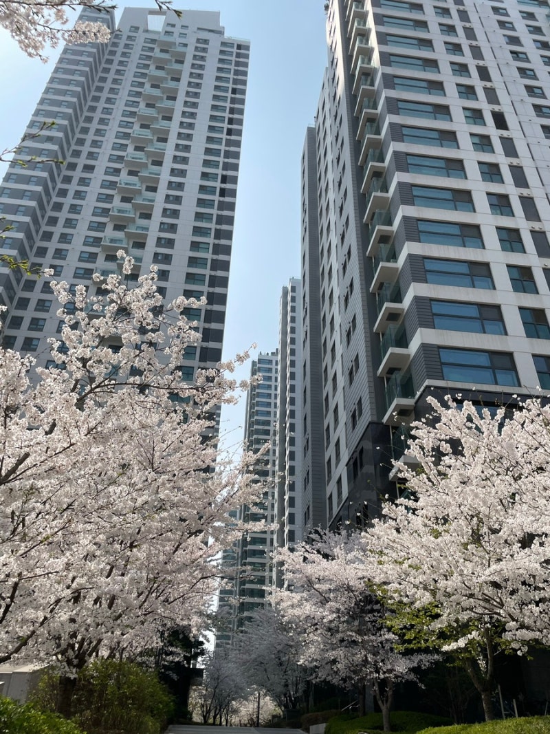 반포동 아파트 임장 3아크로리버파크 반포센트럴자이 신반포2차 아크로리버뷰 어딜 가도 최고🙊 네이버 블로그