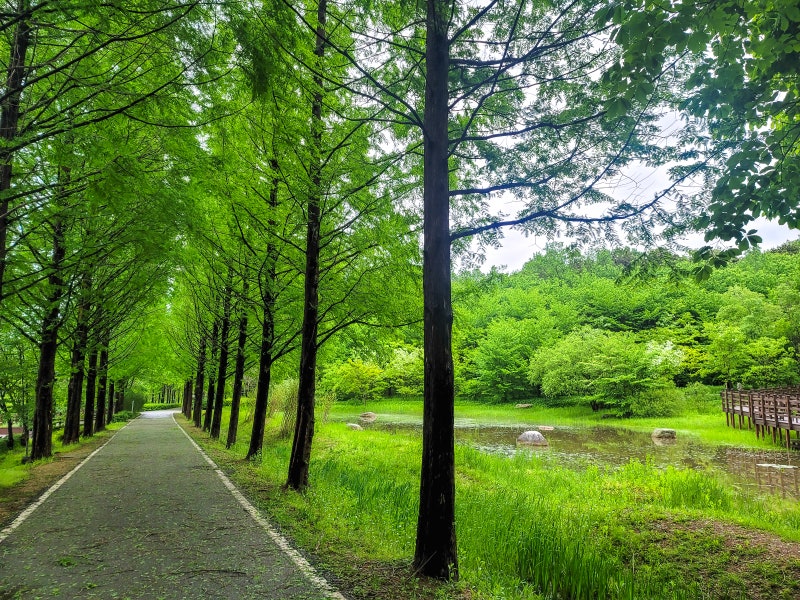 산책하기 좋은 5월 오산물향기수목원 입장료 주차비 산책코스 도시락 네이버 블로그
