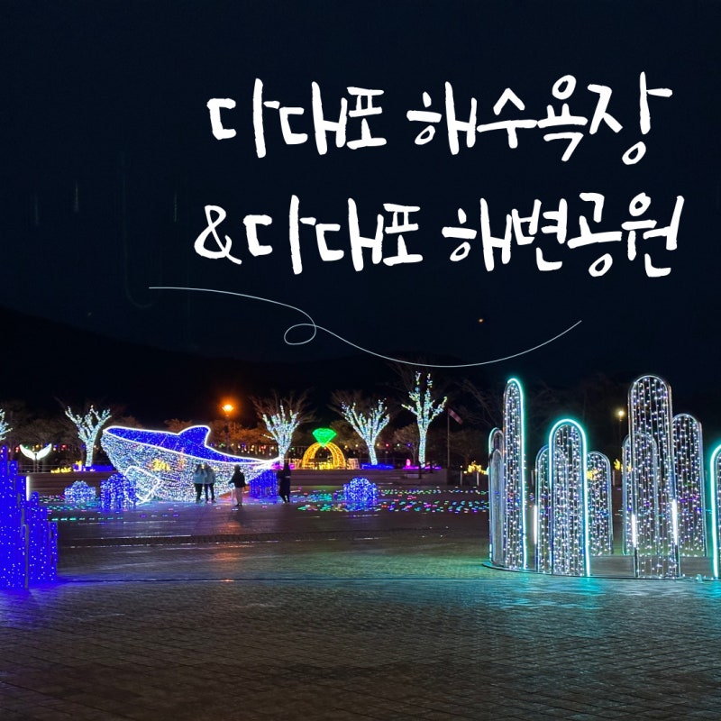다대포해수욕장and다대포 해변공원 낙조분수 빛축제 야경 후기 네이버 블로그